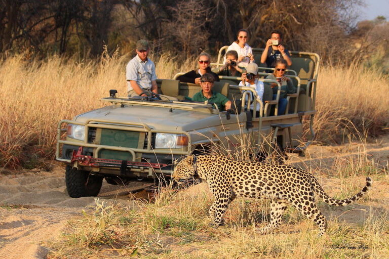 Africa Safari Tours | Africa safaris | Africa tours | Africa budget ...